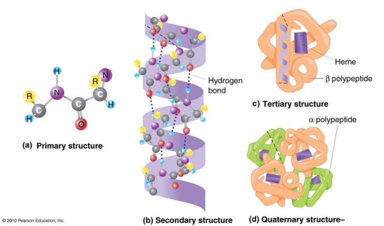 Googleova umjetna inteligencija riješila dosad nerješive probleme u ...